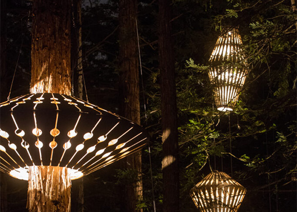 Rex Lumber Company | Wholesale Hardwood Lumber Supplier